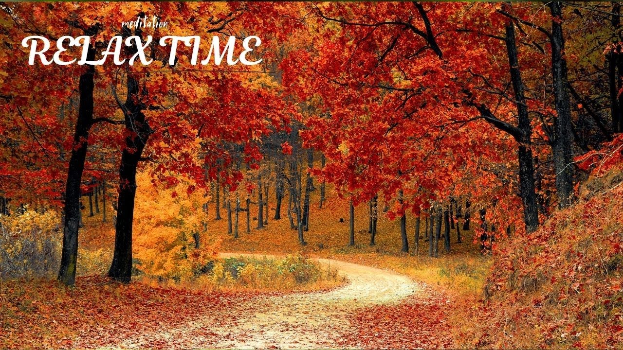 Autumn Forest Ambience-peaceful music, beautiful music and relaxing ...