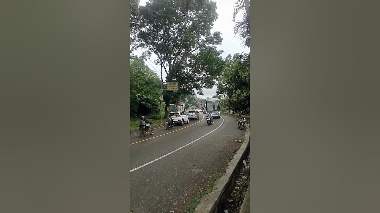 Miyor Flexsibel #busjedagjedug #fouryoupage #busmania #miyorprimaabadi #miyor #bussumbar - YouTube