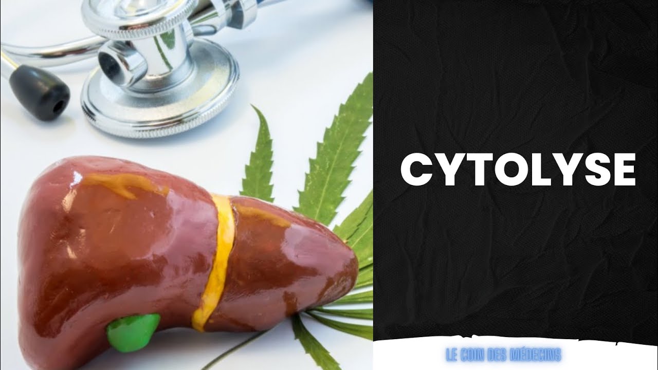 Bilan hépatqiue et cytolyse - YouTube