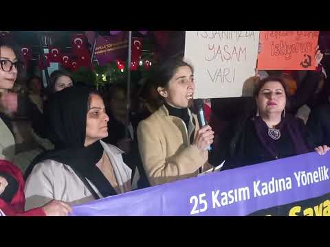 Adana Kadın Platformunun 25 Kasım Eyleminde DEM Parti Milletvekili ...