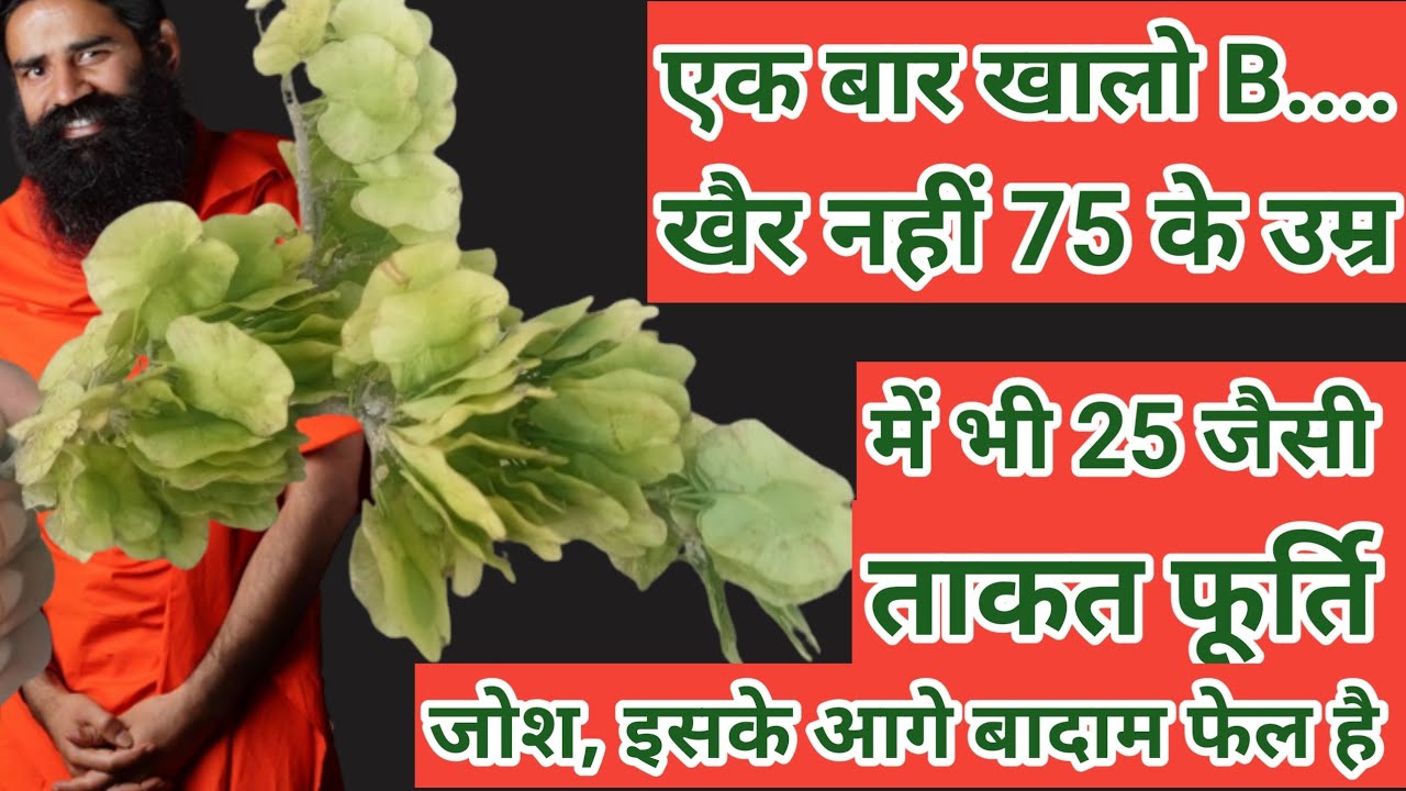 chilbil tree benefits, physiology motivational speech in hindi ...