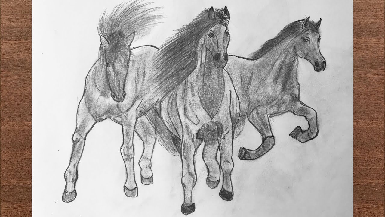 Horse Drawing Step 3