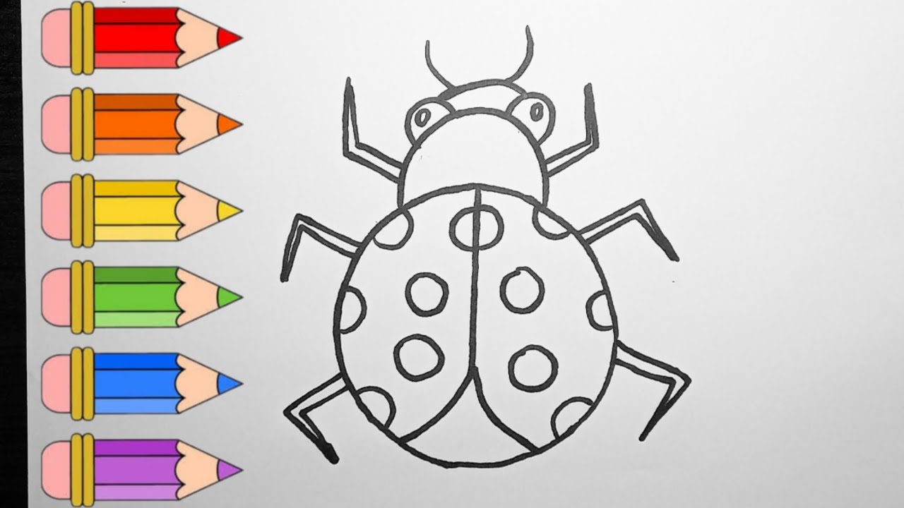Kids | let's learn how to draw a LADY BUG image. easy step. for ...