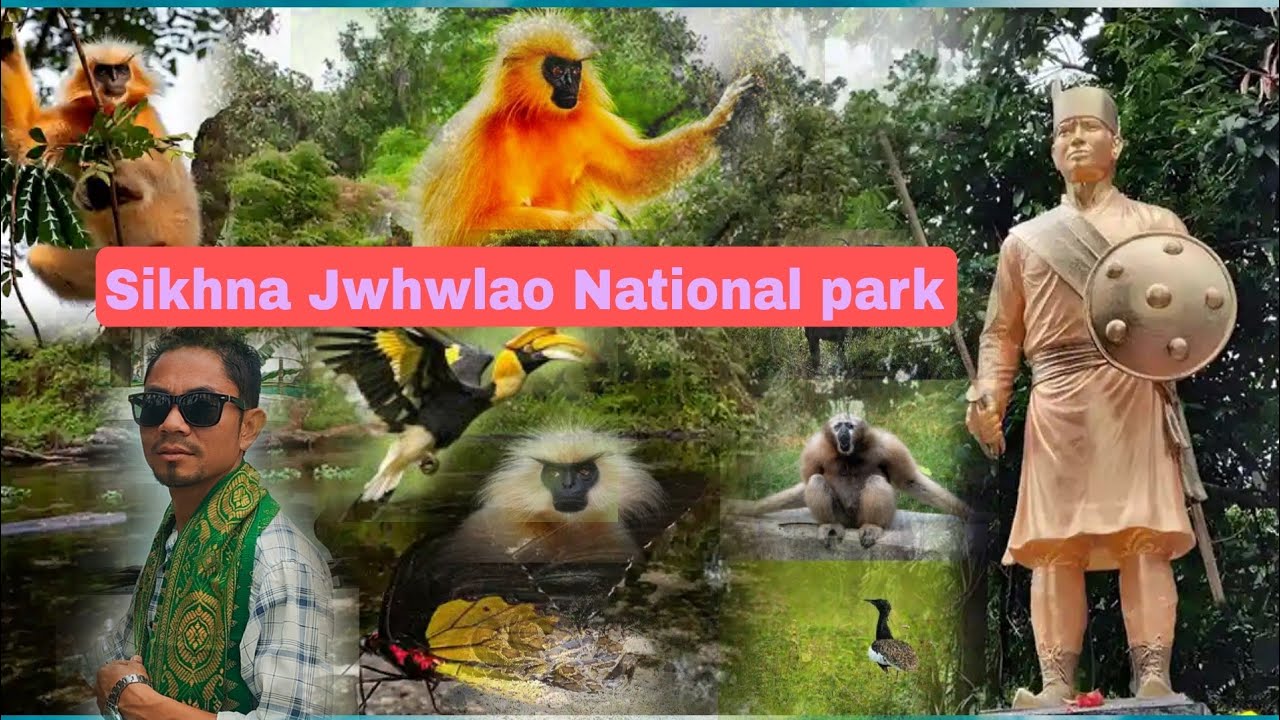 जाजेन बाय रायजो फोर | Sikhna Jwhwlao National park 🏞️ - YouTube
