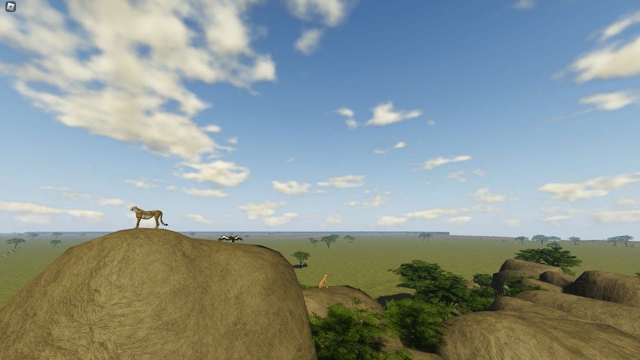 FIRST WILD SAVANNAH LEOPARD DOCUMENTARY! [ROBLOX] - YouTube