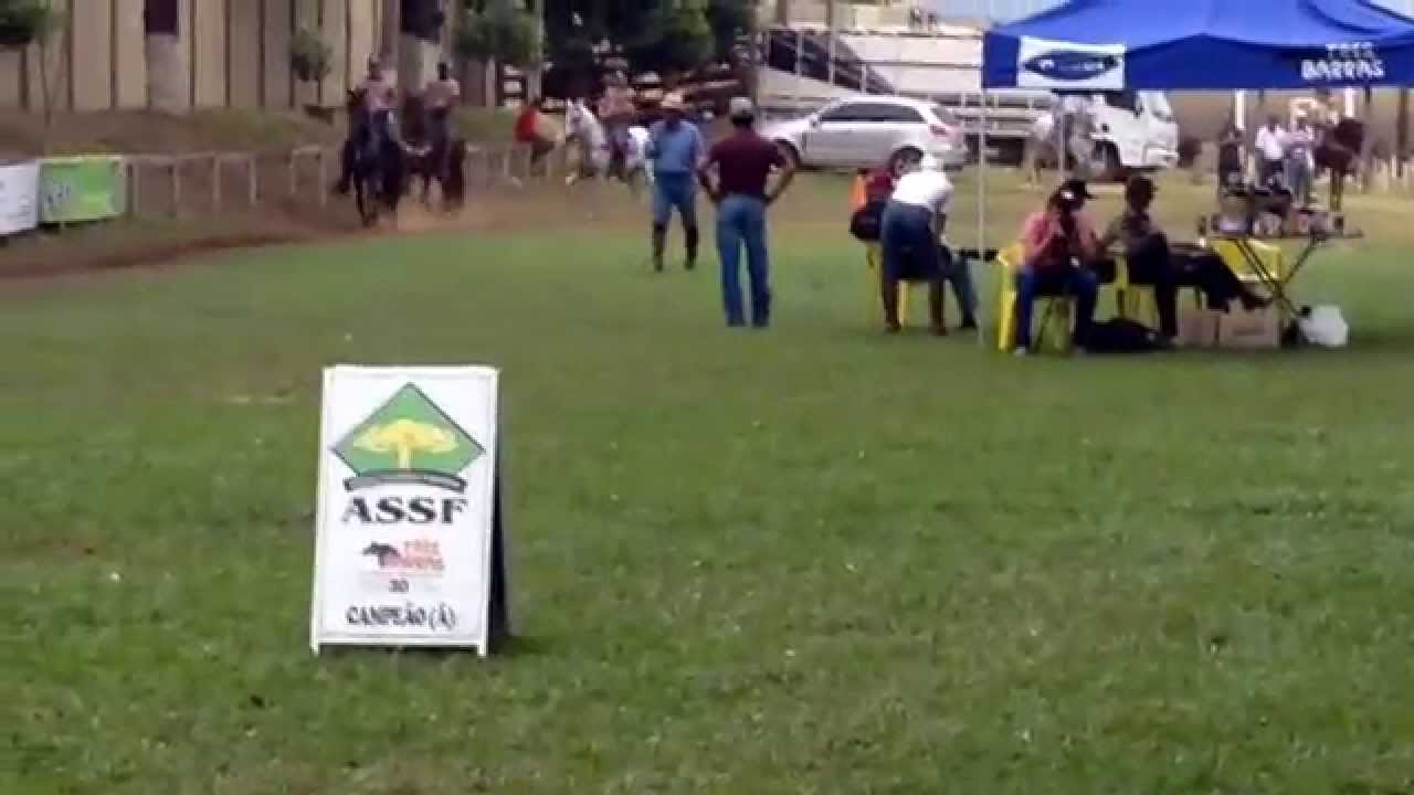 Prova de marcha fechada ABCCMM - Passos - 2014 - égua adulta - YouTube