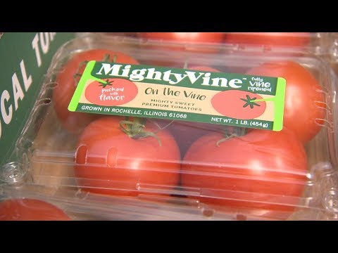 Chicago's Best Tomato: MightyVine - YouTube