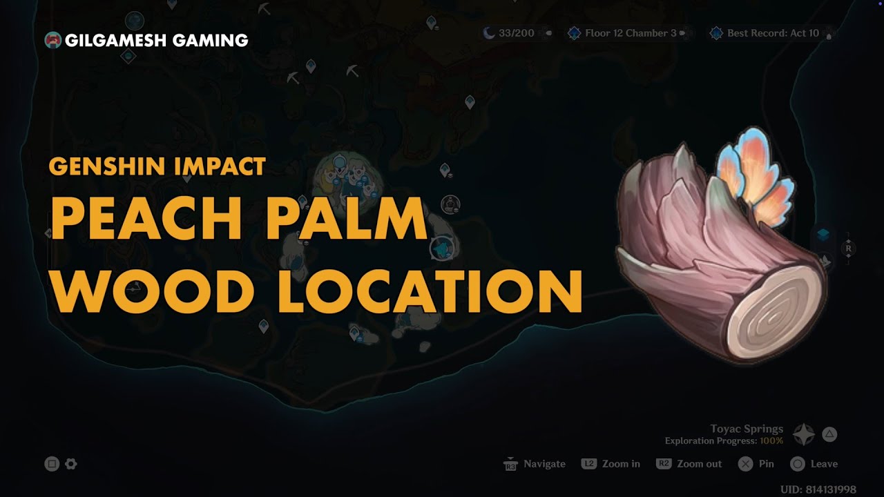 Peach Palm Wood Farming Route | Genshin Impact Natlan - YouTube
