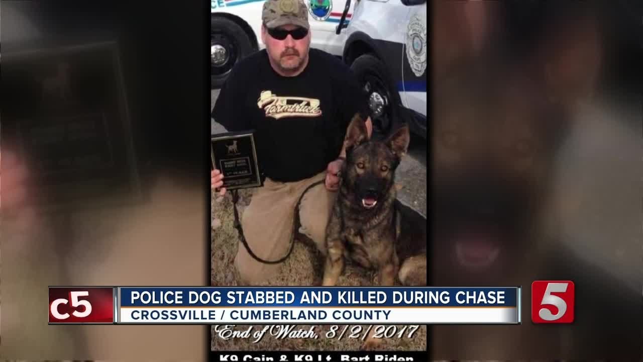 Crossville K9 Killed While Chasing Suspect - YouTube