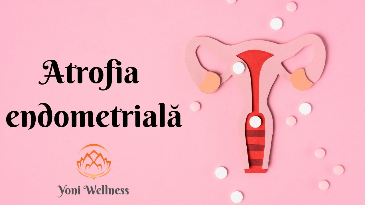 S2. Ep 23 Atrofia Endometrială | Uterul "subțiat" | Sinechia uterină ...