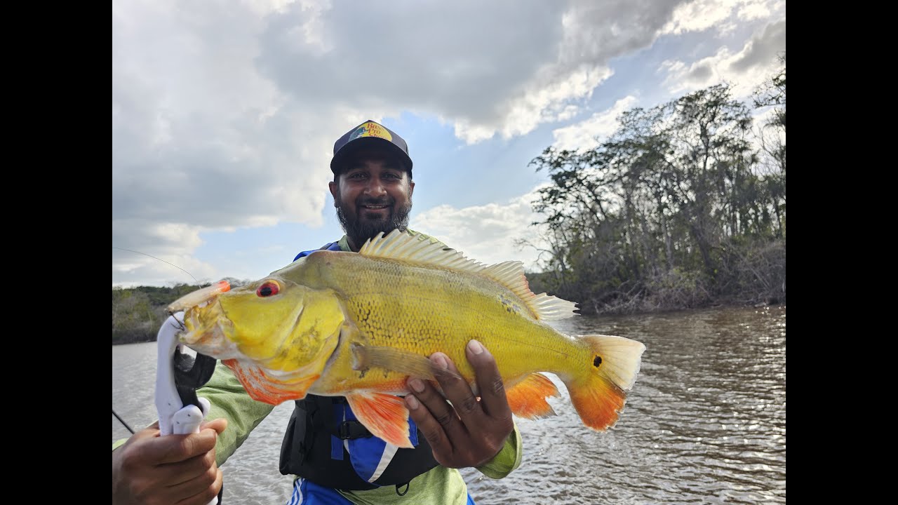 ALMOST DIED IN THE JUNGLE🇬🇾 CATCHING PEACOCK BASS[LUKANANI] - YouTube