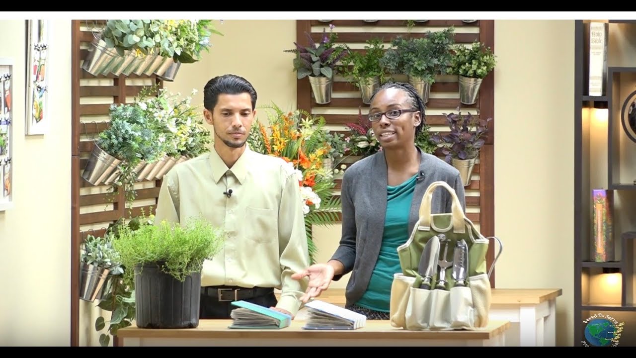 Choosing the Right Location for Autumn Garden, pt. 1: Seed Time ...