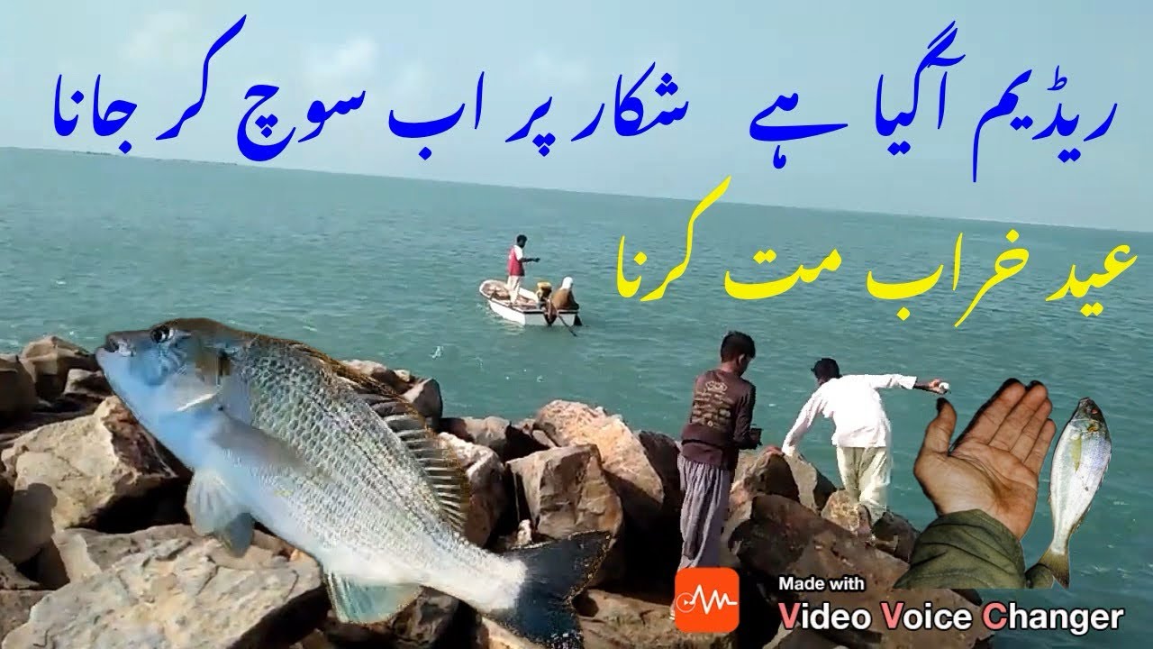 damb-balochistan-fishing-vinder-dumb-fishing