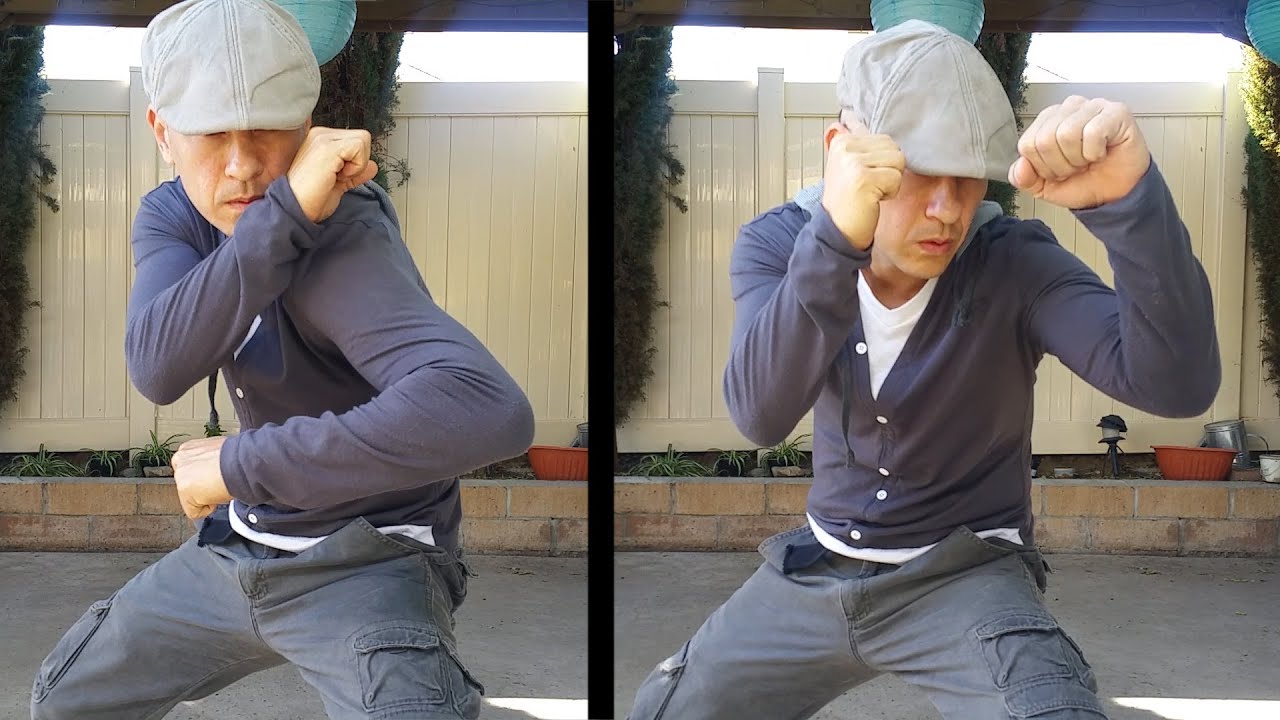 Seidou Ryu Shadow Boxing - YouTube