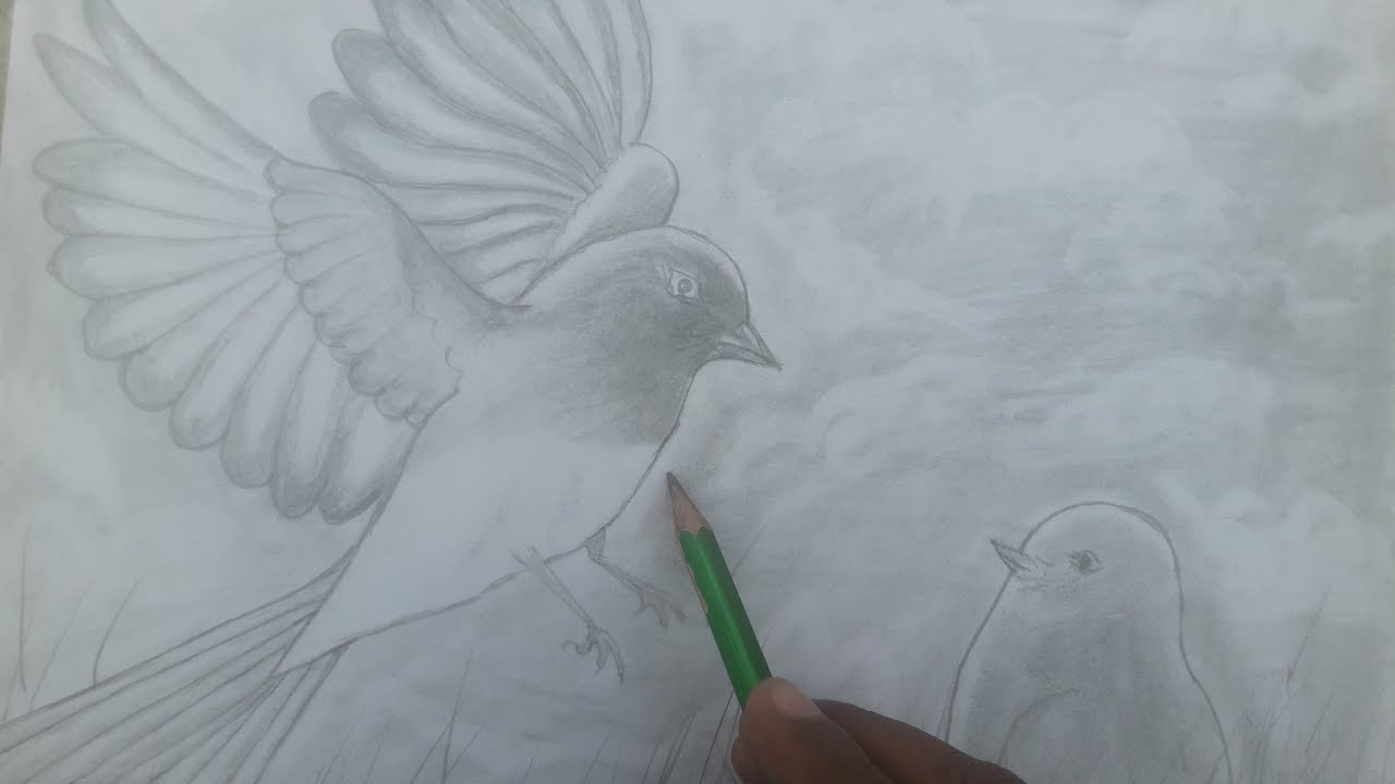 How to drow (sketch) flying bird || flying bird kese banaye ## bird ...
