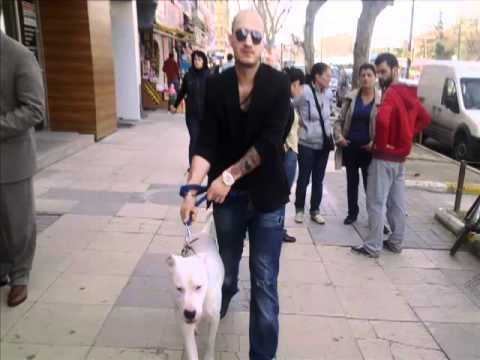 Deha hayat felsefem & Dj Hüseyin SAPAN Club mix ( 2011)