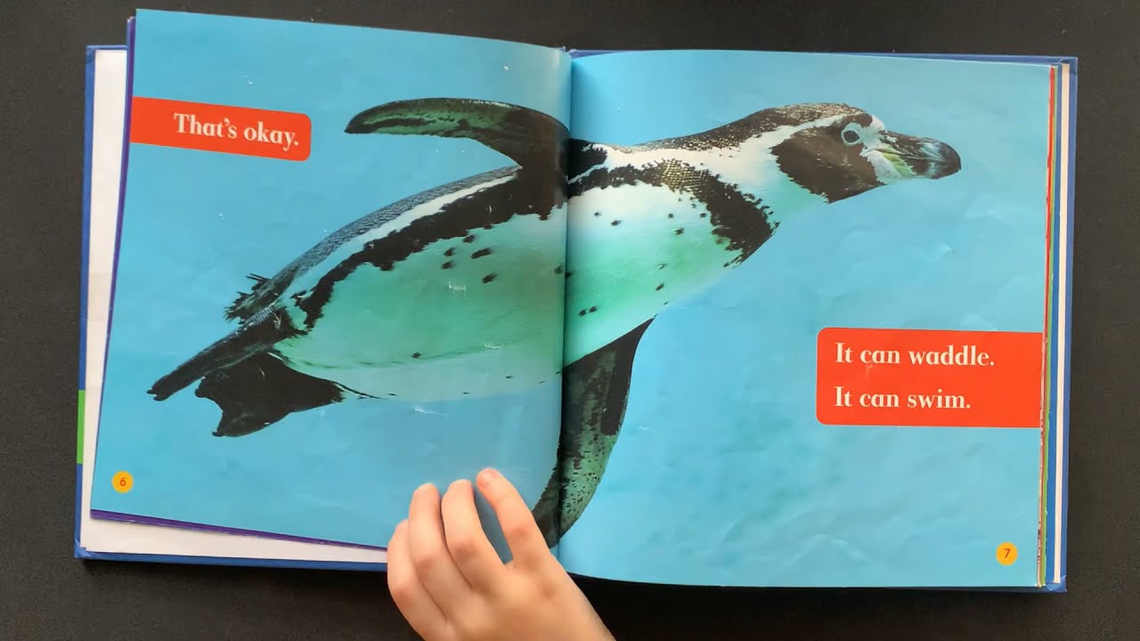 My First Animal Library Penguins by Cari Meister AR level 0.9 Quiz ...