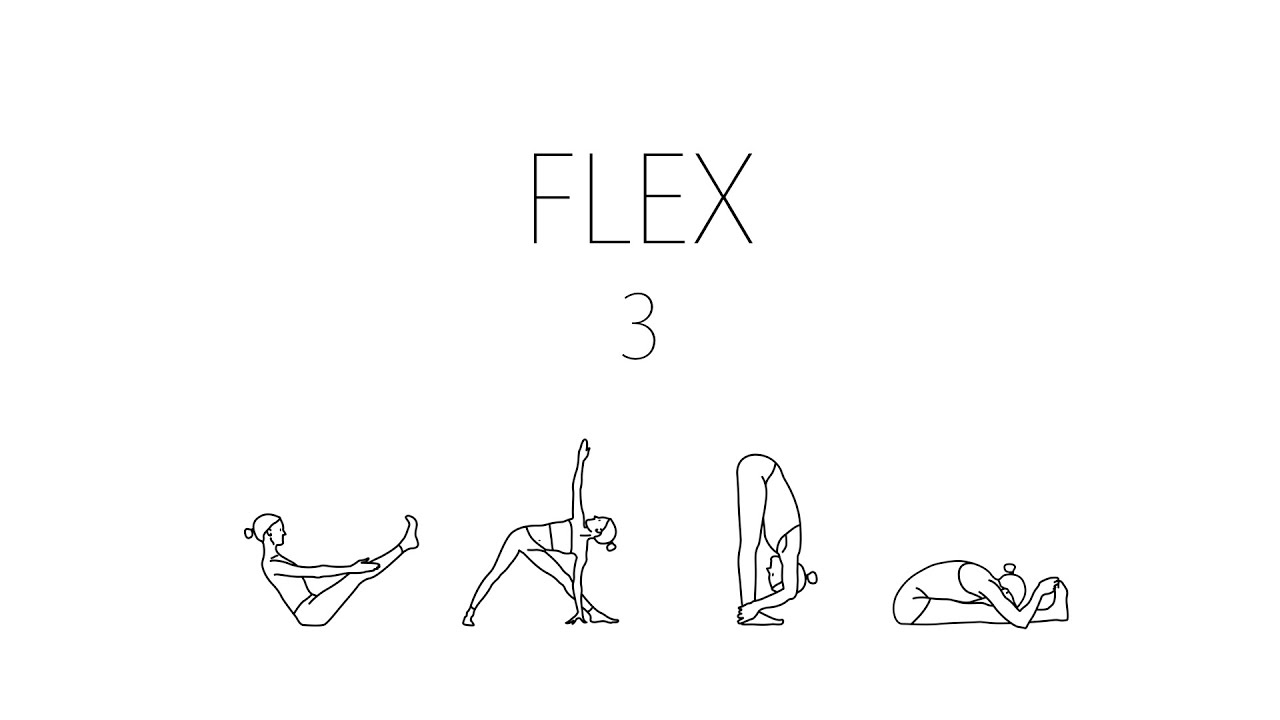 Css 수업 Flex 3 Basis And Grow And Shrink Youtube