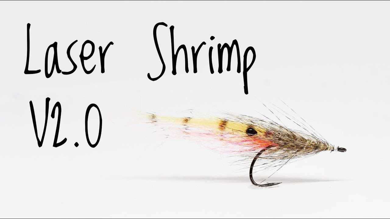 Laser Shrimp V2.0 - Step by Step Fly tying video - YouTube