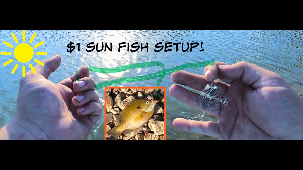 $1 Primitive fishing! Hand line catches fish! 😱 - YouTube