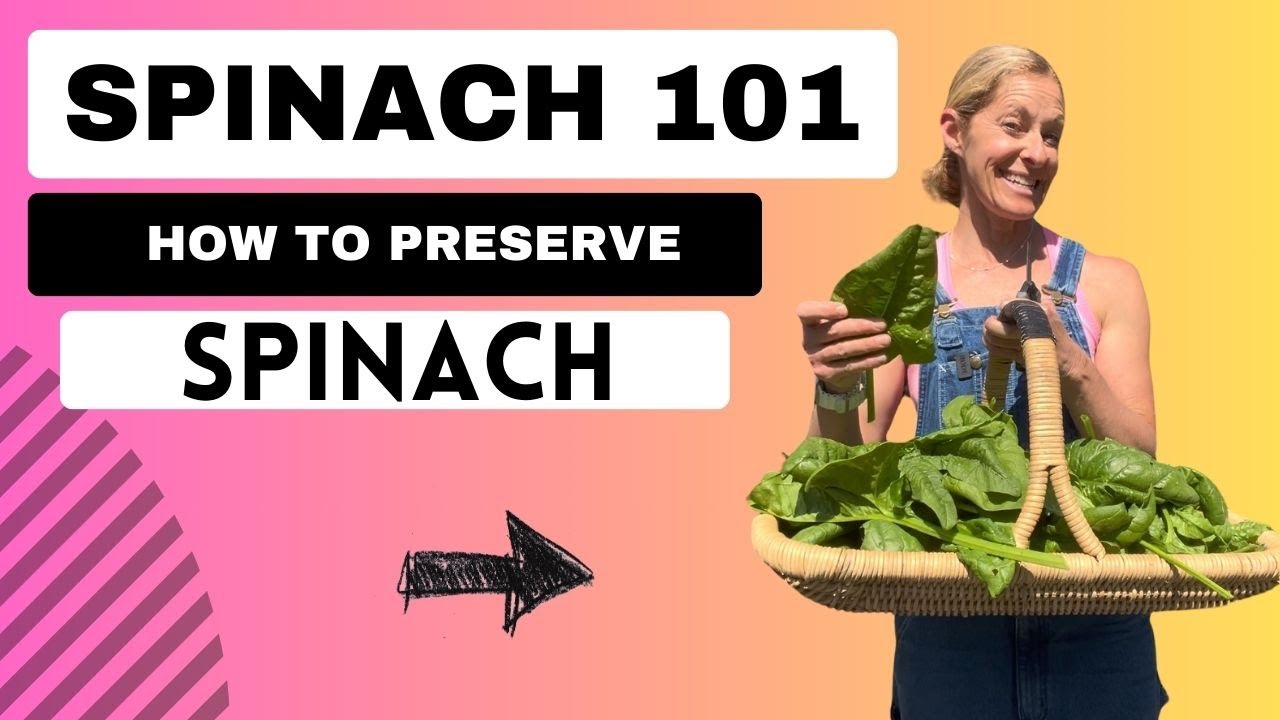 Spinach 101 • How To Preserve Spinach - YouTube