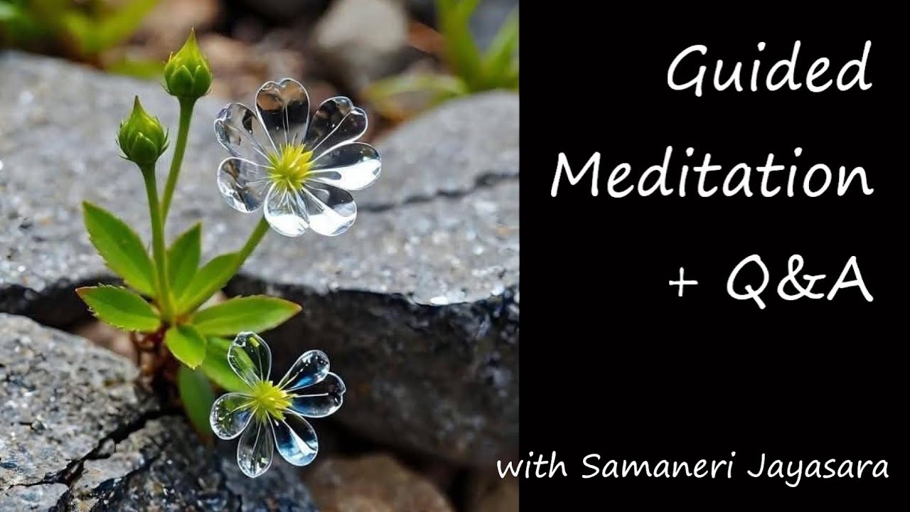 Guided Meditation + Q&A with Samaneri Jayasara ~ Sunday 14th December ...