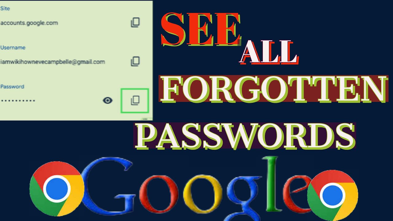 How To See view All Your Saved Google Passwords Using Chrome Browser how-to-see-view-all-your-saved-google-passwords-using-chrome-browser