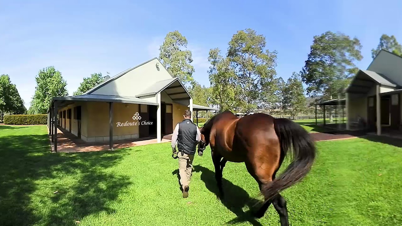 Tour of Arrowfield - YouTube