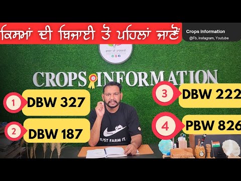 ਕਣਕ ਦੀਆਂ ਟੌਪ 4 ਕਿਸਮਾਂ DBW 327, PBW 826, DBW 222, DBW 187 WHEAT VARIETIES DETAIL