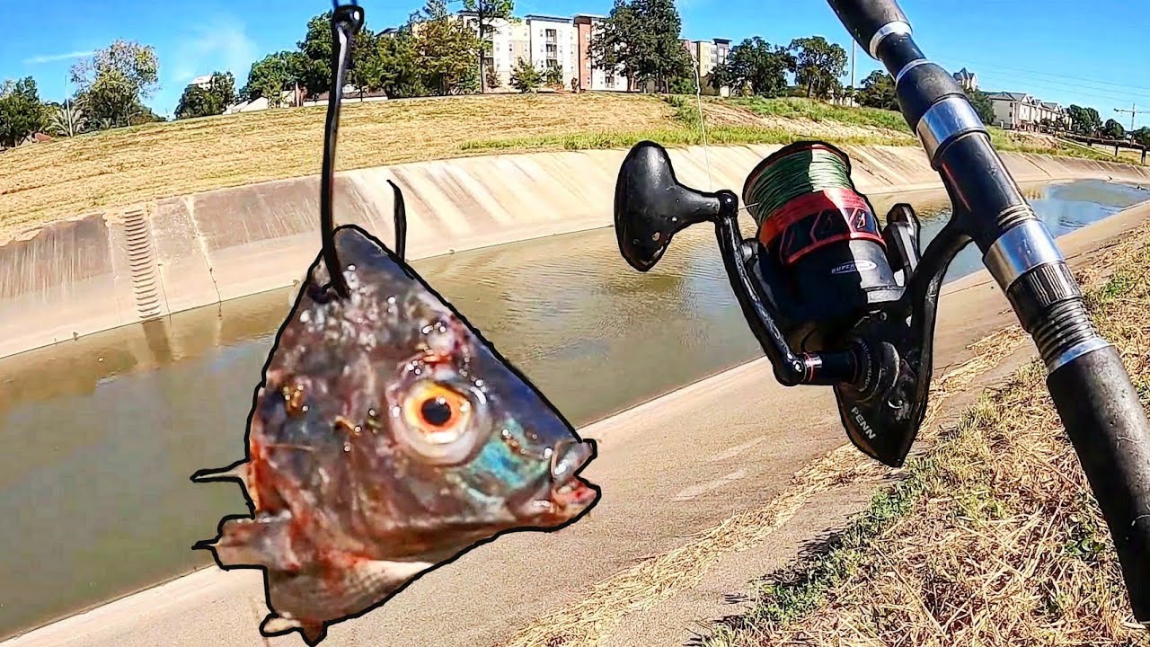 The Biggest Fish In the Bayou is About To Eat This Bait! - YouTube