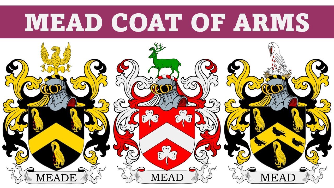 Mead Coat of Arms & Family Crest - Symbols, Bearers, History - YouTube
