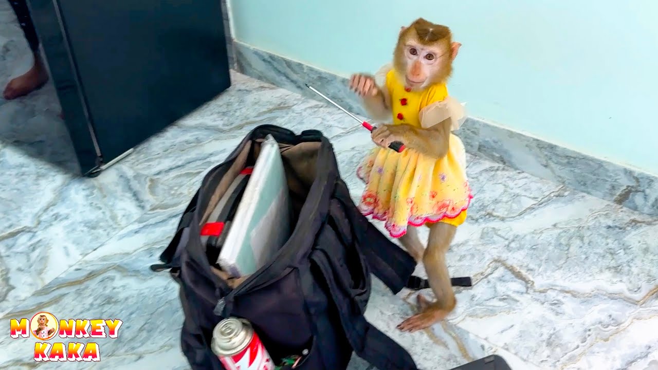 Monkey Kaka helps the refrigerator repairman get tools - YouTube