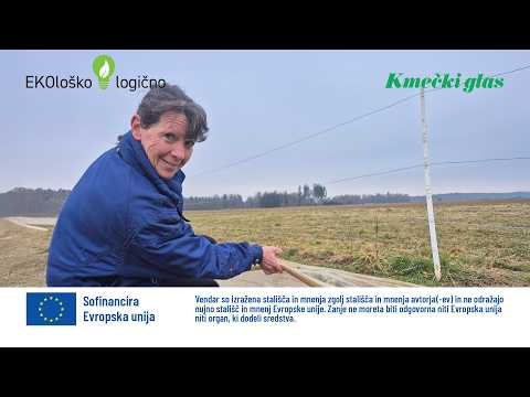 EKOloško = logično: kmetija NABERNIK