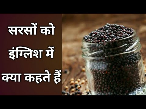 सरसों in english | sarso ko english me kya kahate hain - YouTube