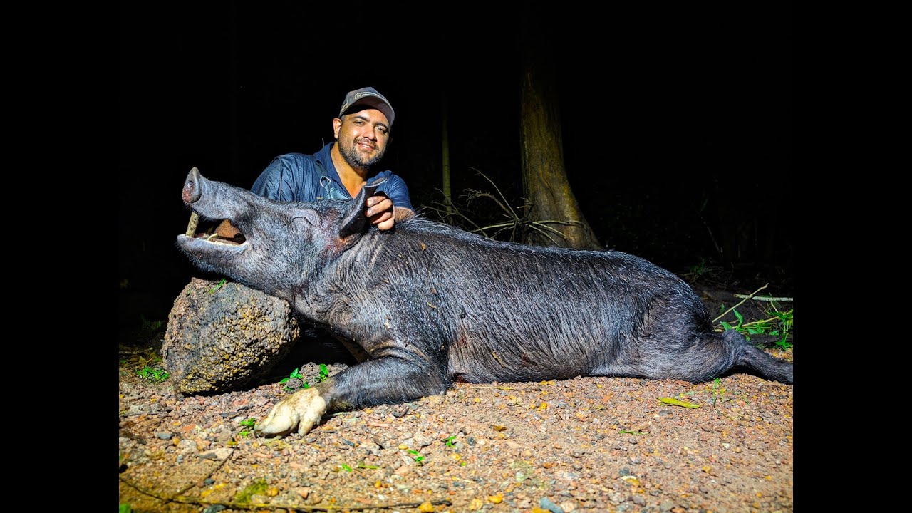 Hunting the THICKEST country | NT Pig Hunting | Ep 2 2024 - YouTube