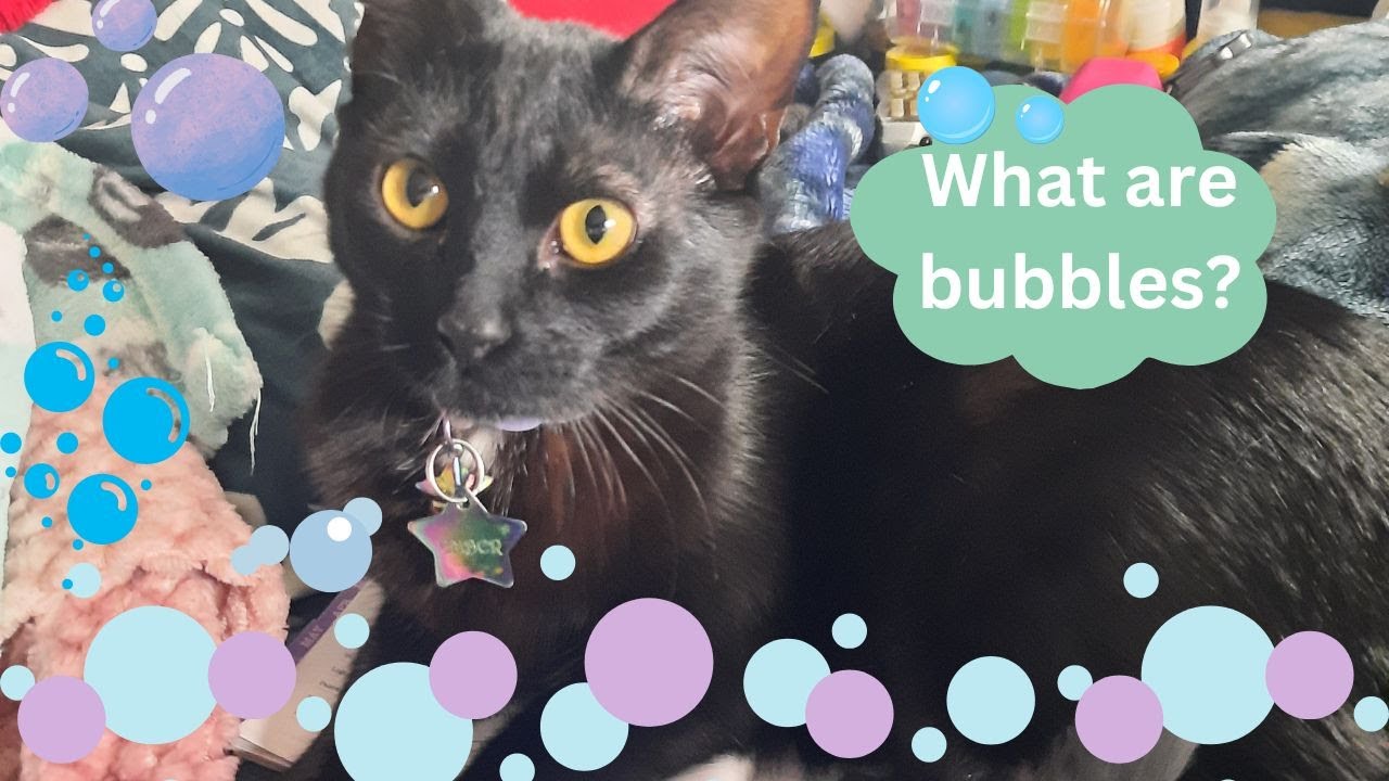 Bubble Bash - YouTube