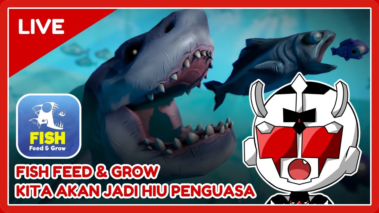AKU INGIN MENGALAHKAN HIU BESAR FEED AND GROW FISH - YouTube