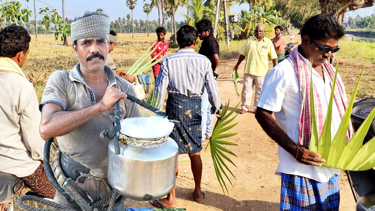 Juice of Toddy Palm | Natural Toddy Sap Juice | Palmyra Palm Juice ...