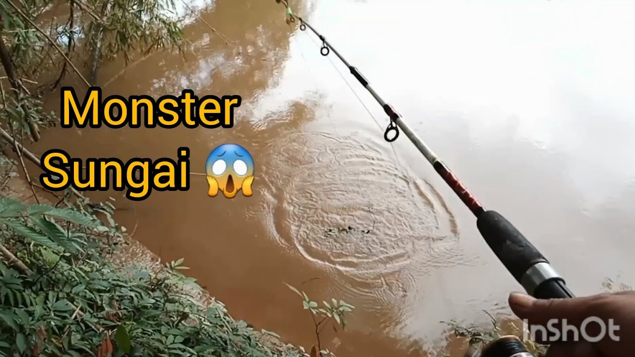 monster sungai mengamuk @Rustanpattae-cc4by#mancingmania#mancing - YouTube