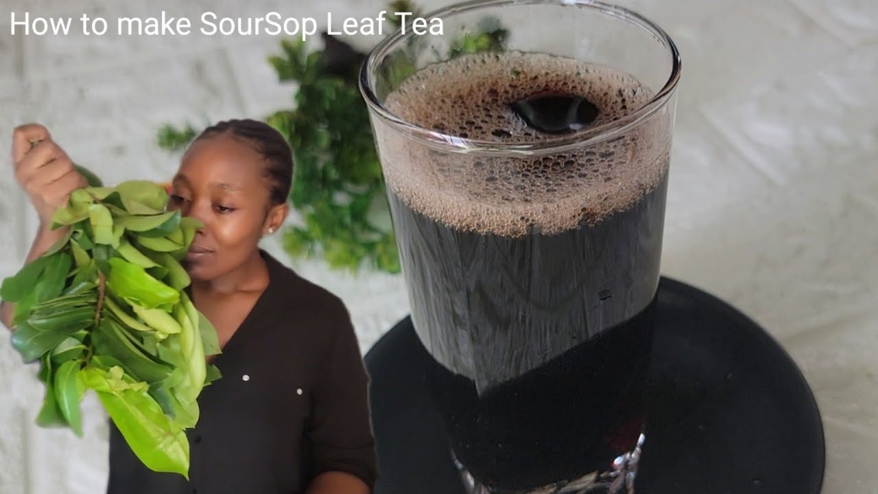 How to make SOUR SOP leaf tea - YouTube