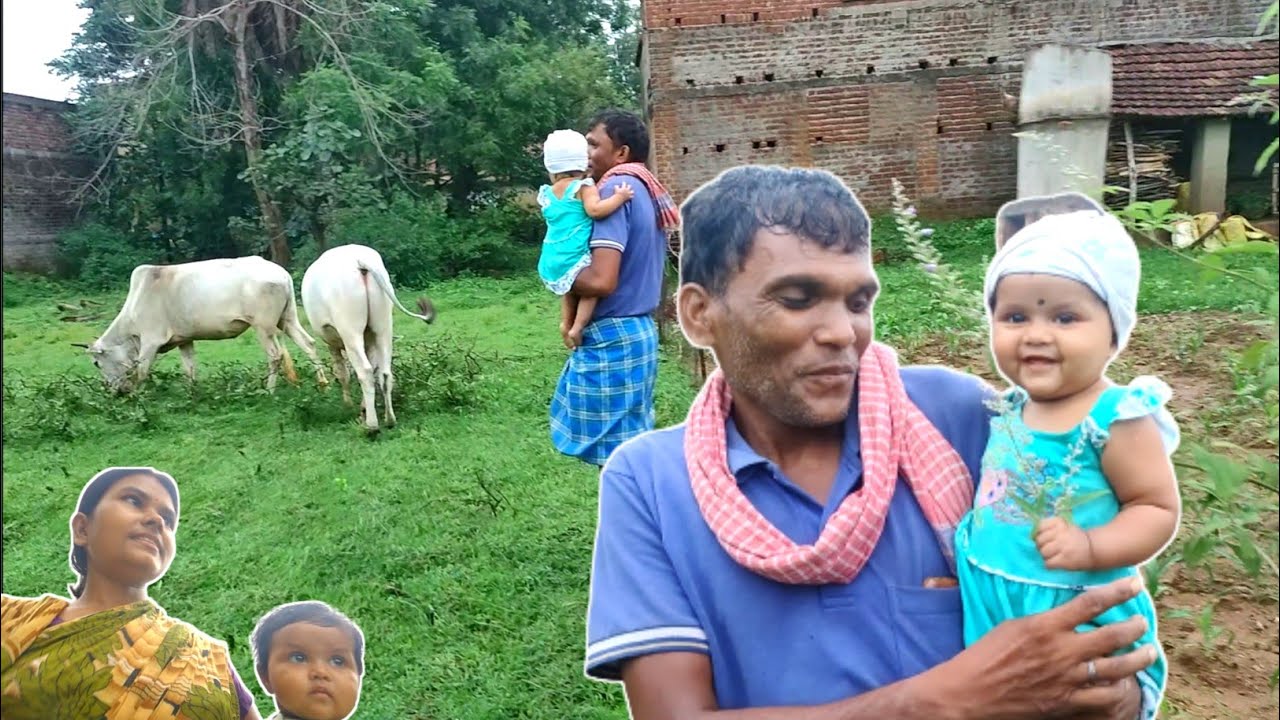 জারা ঘাস ফুল পেয়ে অনেক খুশি // দাদুর সঙ্গে জারা গরু চরাচ্ছে / Jara And ...
