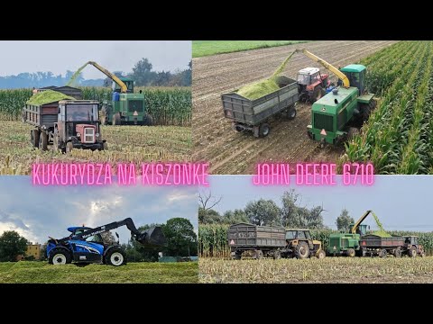 Kukurydza na kiszonkę John deere 6710 + 4 odwozy Sławięcice