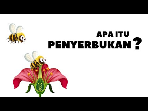 APA ITU PENYERBUKAN? I Penyerbukan Sendiri dan Penyerbukan Silang I ...