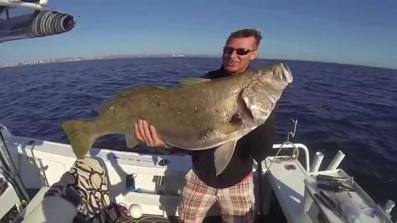 18 kilo jewfish off the Gold Coast - YouTube