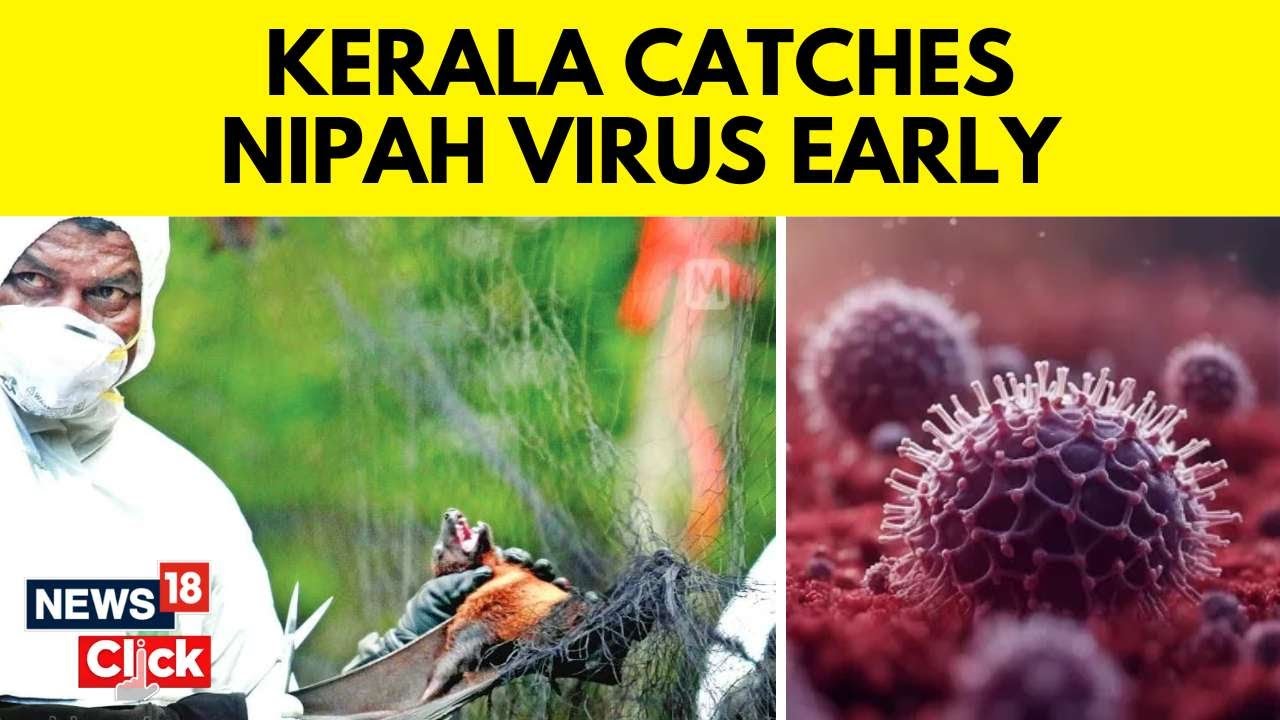 Nipah Virus News Updates | Relief For Kerala As No New Cases Of Nipah ...