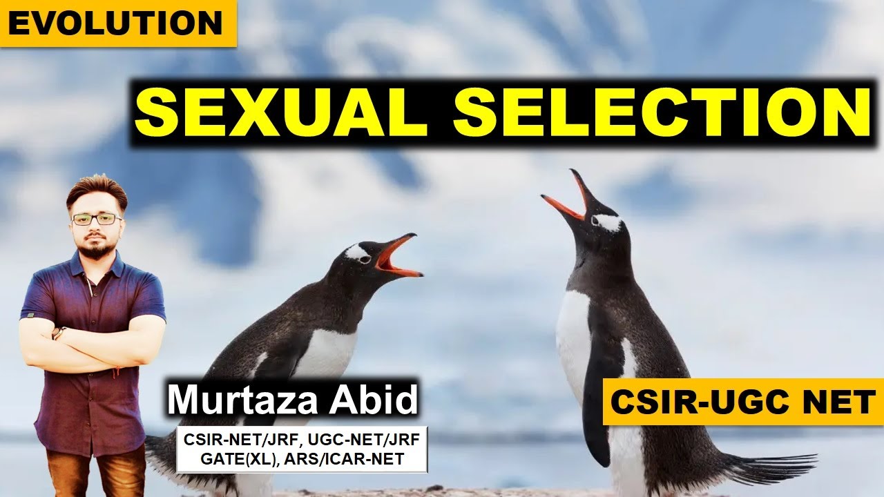 SEXUAL SELECTION || ANIMAL BEHAVIOR || EVOLUTION || CSIR-NET, ICMR, DBT ...