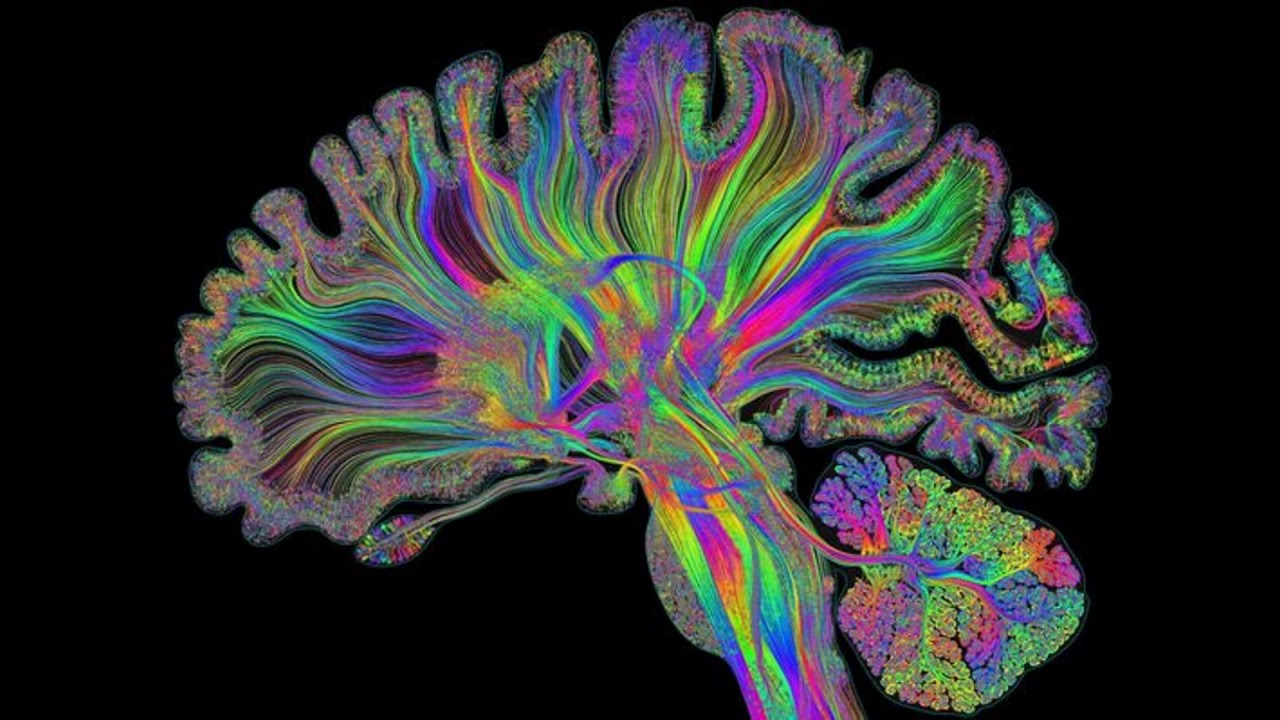 Binaural beats for stimulate your brain & brain’s degree of arousal ...