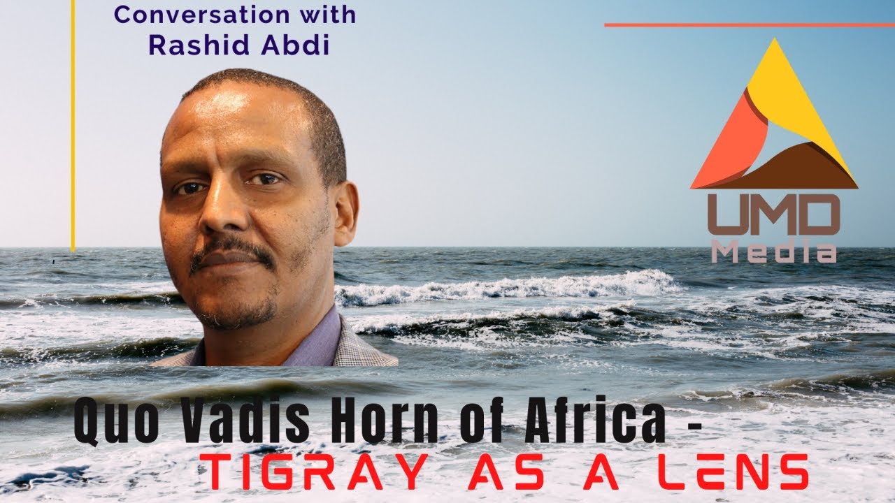 Conversation with Rashid Abdi on Quo Vadis Horn of Africa - Tigray as a ...