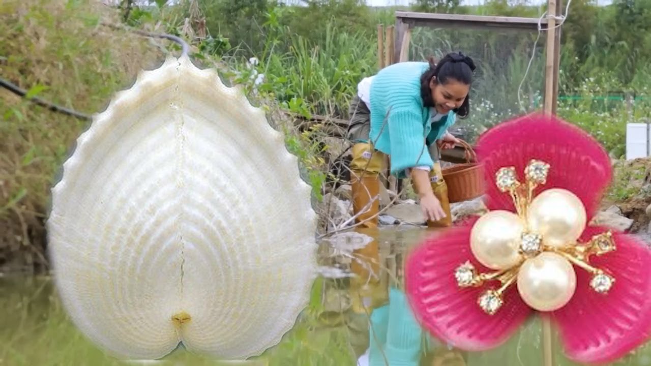 🎁 The Secret of Magic Green Water: Discovered a Giant Mutant Clam with ...