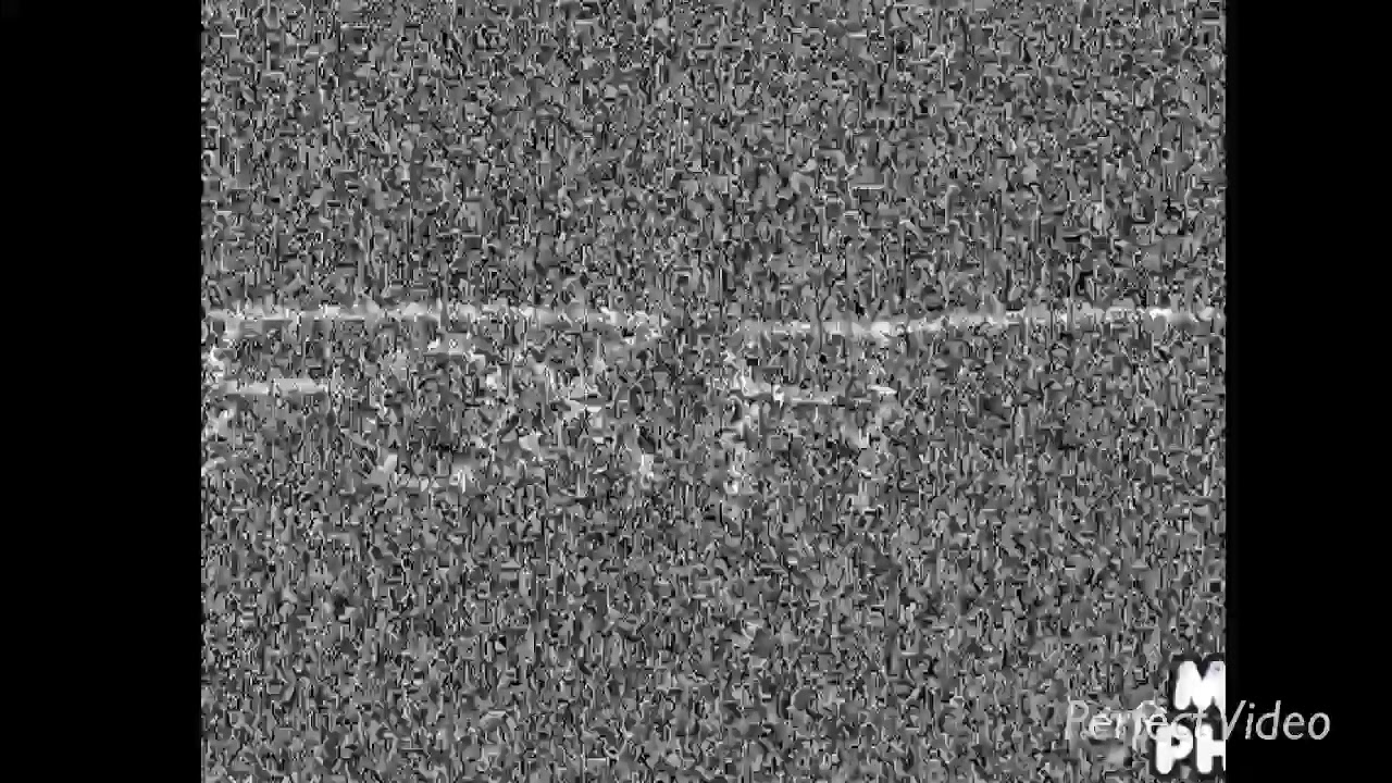 Fin fox film - YouTube